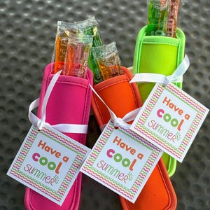 Cute "have a Cool Summer" Printable Gift Tag - Etsy