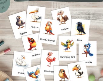 32 Birds Flashcards / Image Cards for Kids, Preschoolers. Nomenclature ...