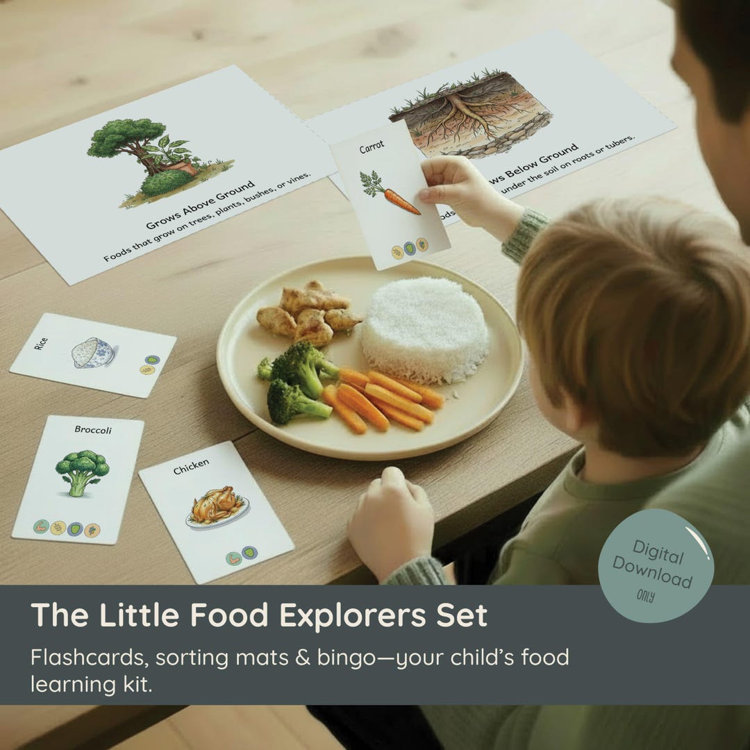 Kids Nutrition Printable Bundle | Food Flashcards & Activities - Etsy