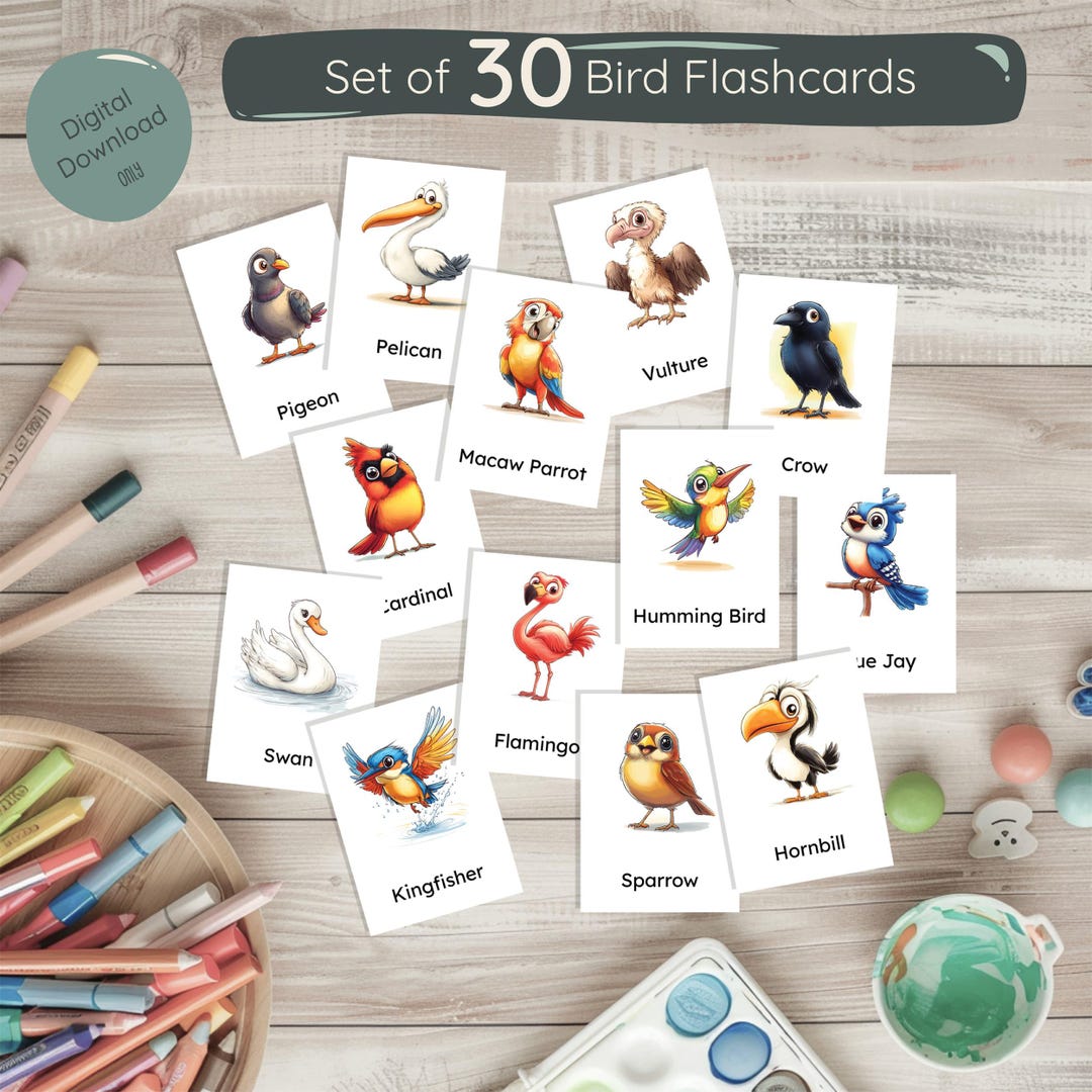 Bird Flashcards for Kids | 30 Bird Cards + Picture-only Set ...