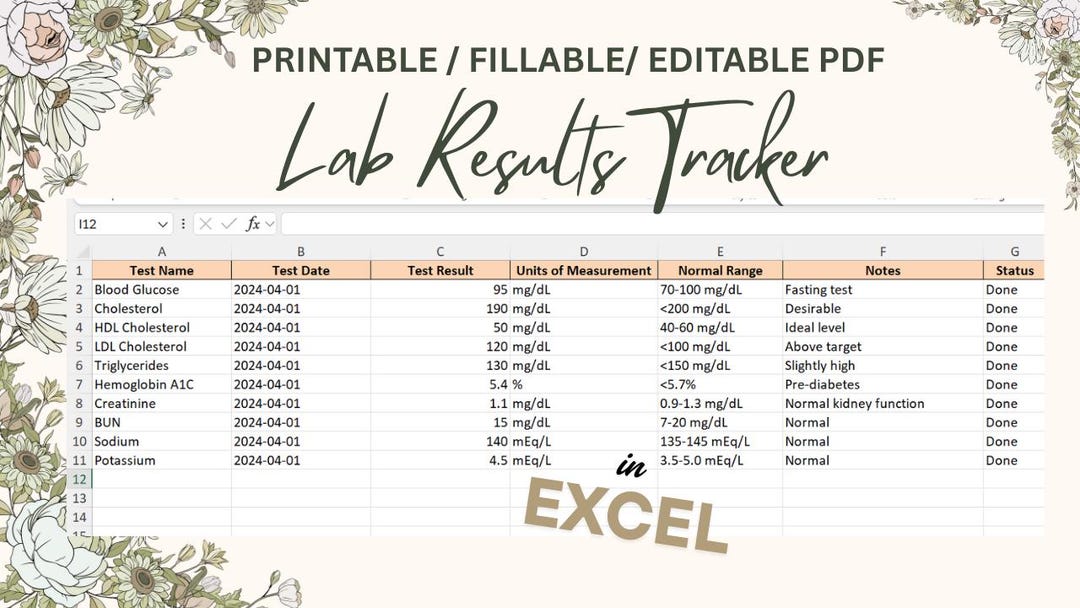 Lab Results Tracker Excel Sheet/health Lab Test Tracker/chart Blood ...