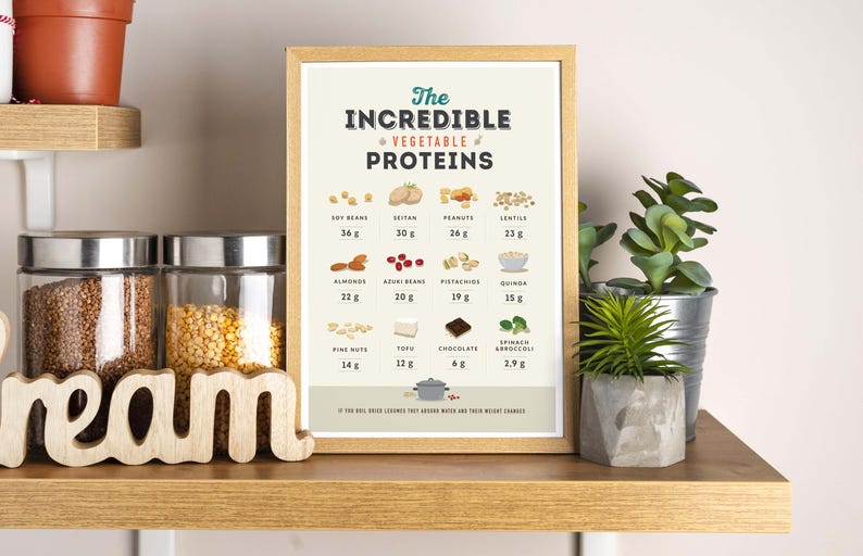 Plant-based Protein Poster | Vegan Foods | Digital Download Nutrition ...
