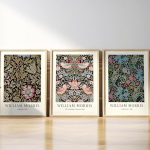 Set of 3 William Morris Wooden Frame Prints, Botanical Wall Decor ...