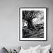 Black and White Tree Photography Print, Ireland Landscape Photography ...