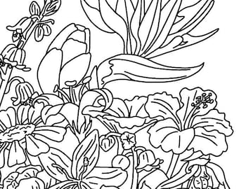 coloring pages field of flowers