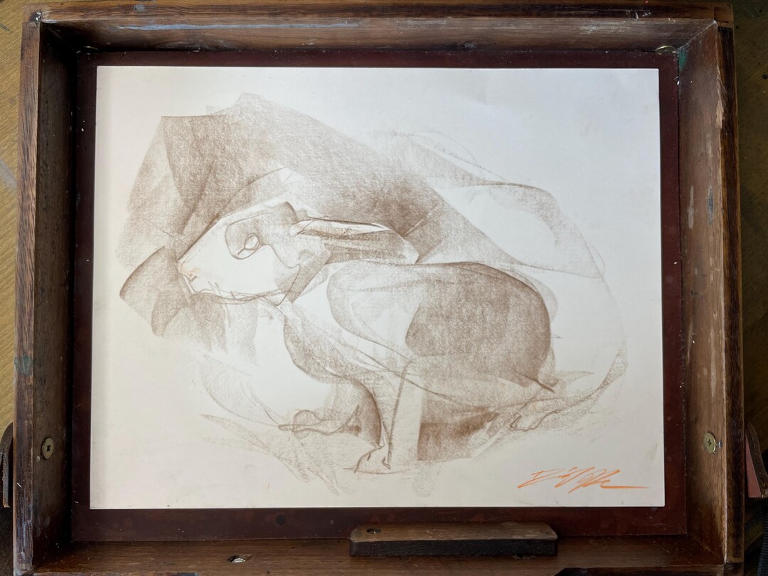 Rabbit Charcoal Drawing (original, Signed) - Etsy