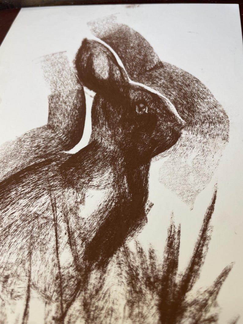 Rabbit Charcoal Drawing (original, Signed) - Etsy