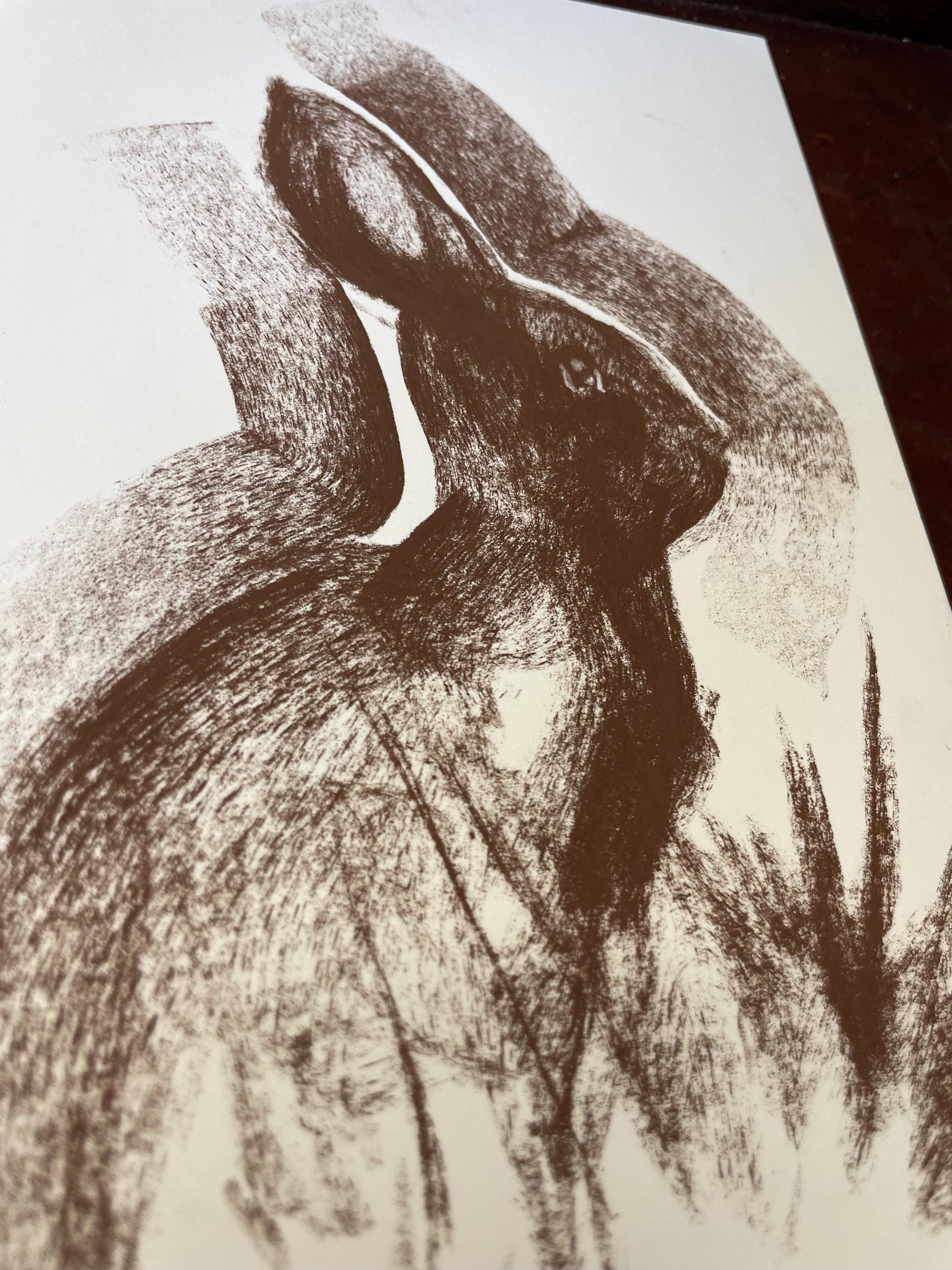 Rabbit Charcoal Drawing (original, Signed) - Etsy
