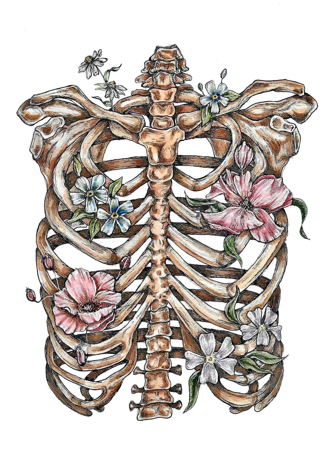 Rib Cage With Flowers/ Watercolor and Ink Drawing - Etsy