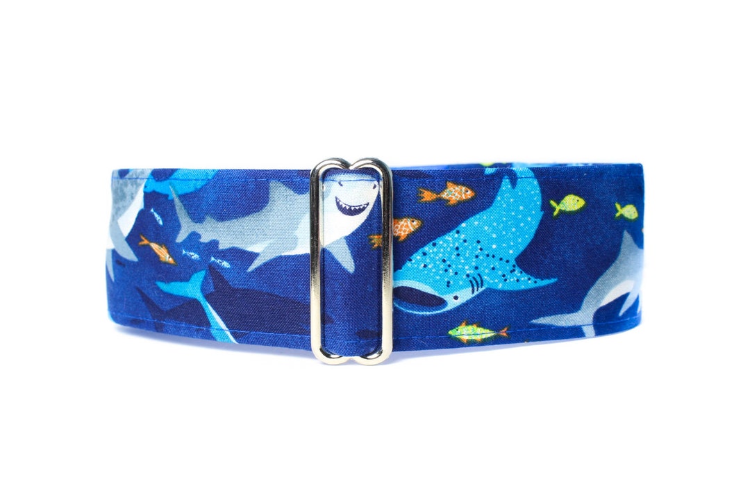 Shark Martingale Collar Greyhound, Shark Dog Collar, Blue Martingale ...