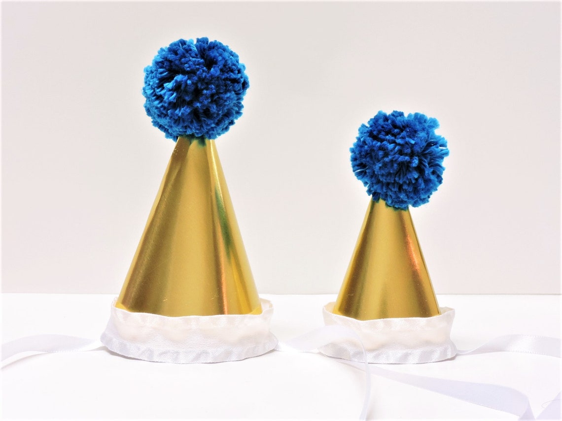 Personalized Gold Party Hat for Cat or Dog Custom Puppy | Etsy