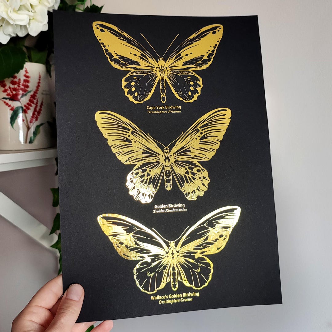 Birdwing Butterflies Foil Art Print, Gold Foil Handmade Print, Natural ...