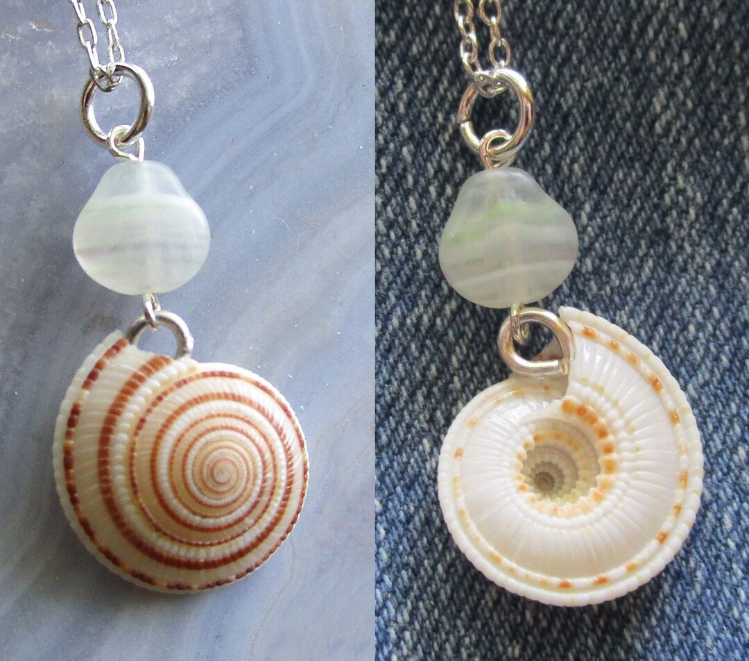 Sundial Seashell Banded Fluorite Shell Bead Pendant Necklace - Etsy