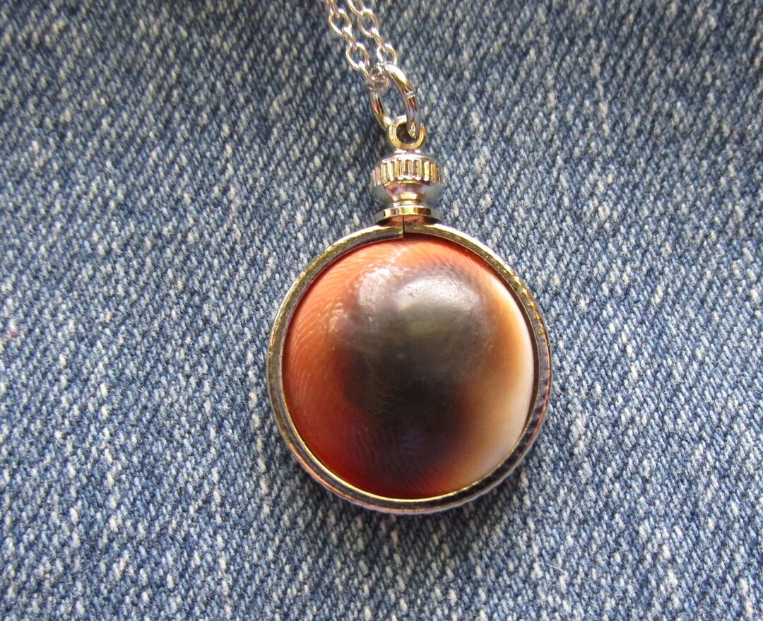 Operculum Natural Seashell Evil Eye Pendant Necklace - Etsy