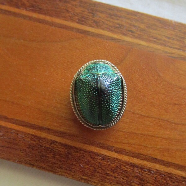 Real Scarab - Etsy