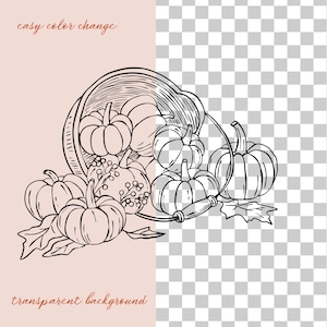 Fall Harvest Pumpkin Clipart PNG SVG Farmer Market Set Rustic Farm ...