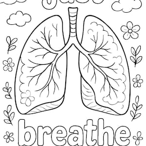 Just Breathe Coloring Page Lung Anatomy Printable for Stress Relief ...