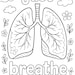 Just Breathe Coloring Page Lung Anatomy Printable for Stress Relief ...