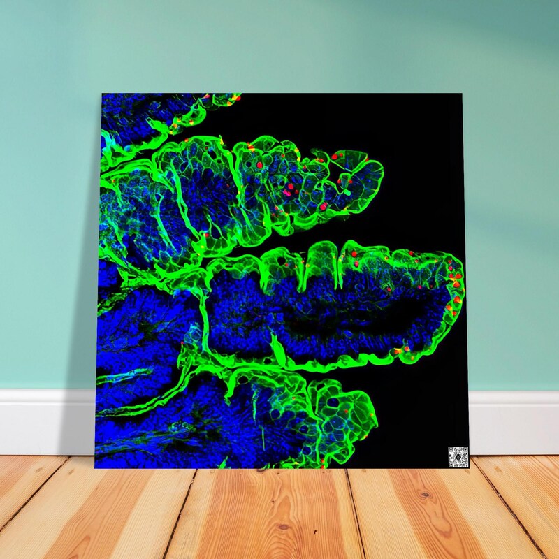 StrikingScience - Etsy