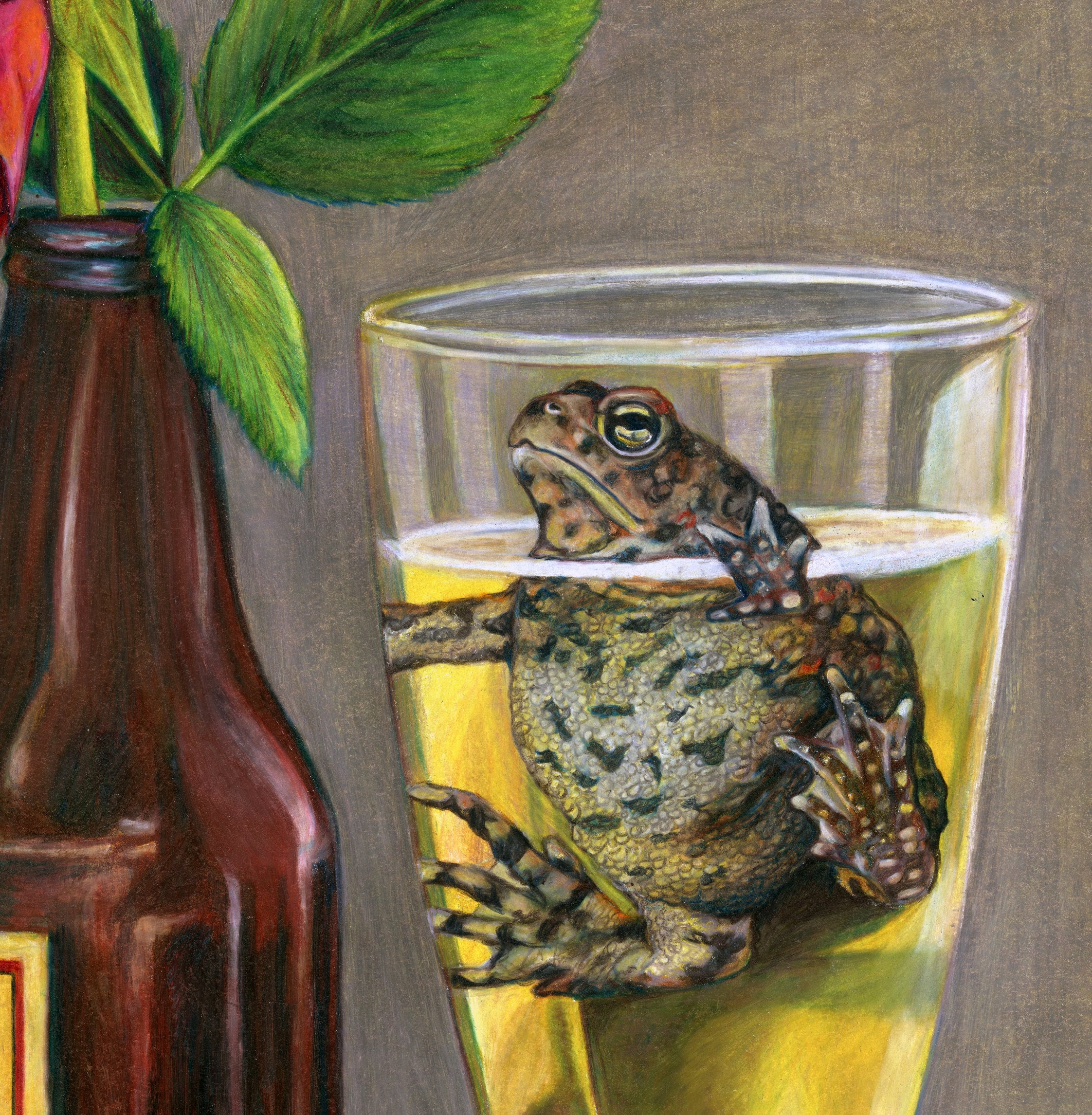 A Love Story Toad in Beer Glass Art Giclee Print Unframed - Etsy