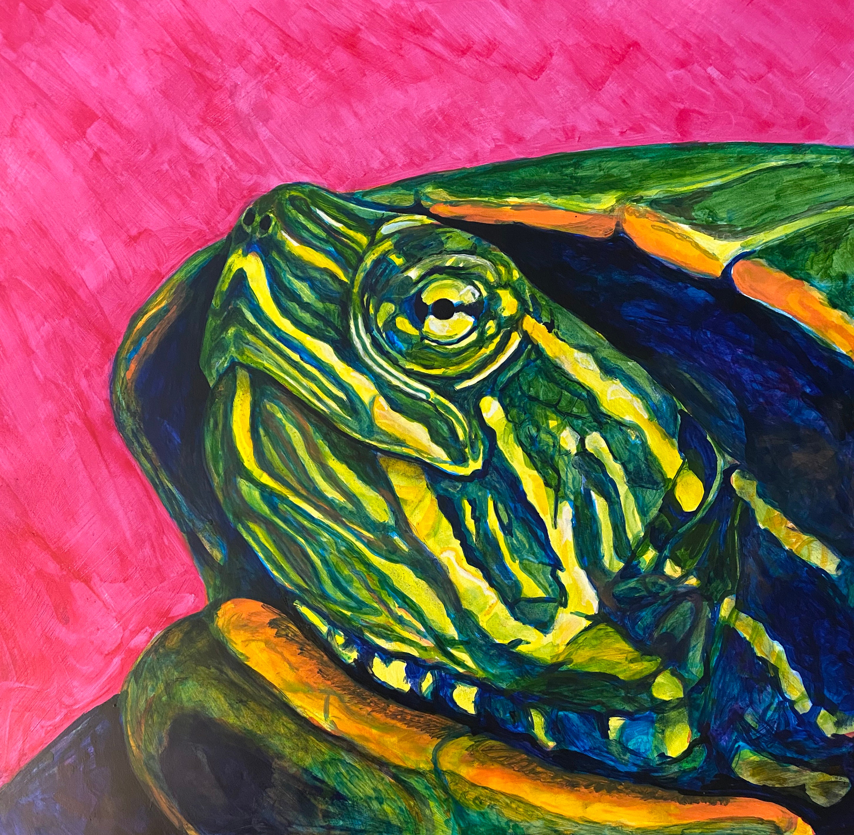 Original Acrylic Painting - Painted Turtle - Medium Eclectic Cabin ...
