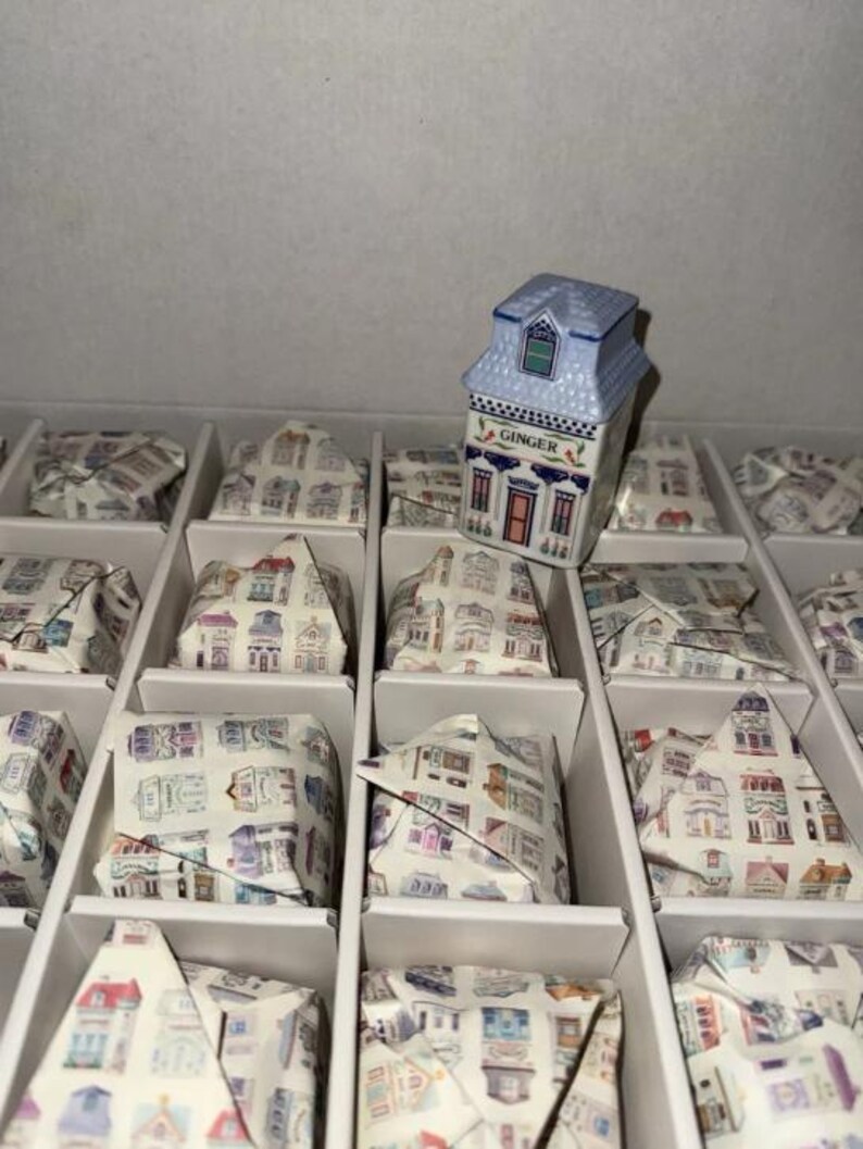 BRAND NEW Lenox Spice Village Spice Jar Complete Set 24 Houses 2024 ...