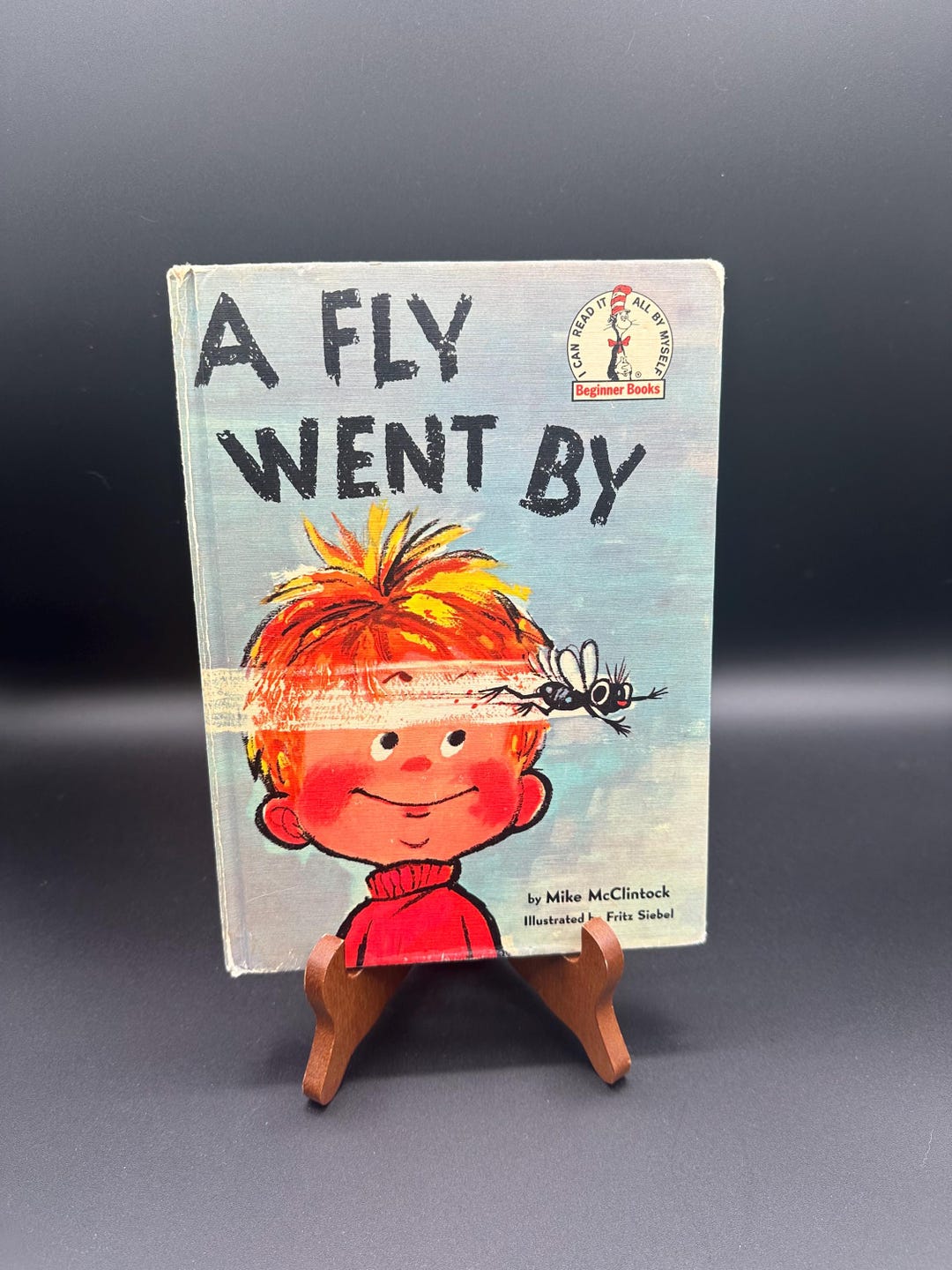 Vintage "a Fly Went By," a Children's Book Written by Mike Mcclintock ...