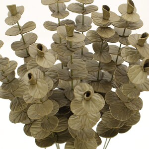 Leather Eucalyptus Stems Flower Bouquet Foliage Leather Greenery Filler ...