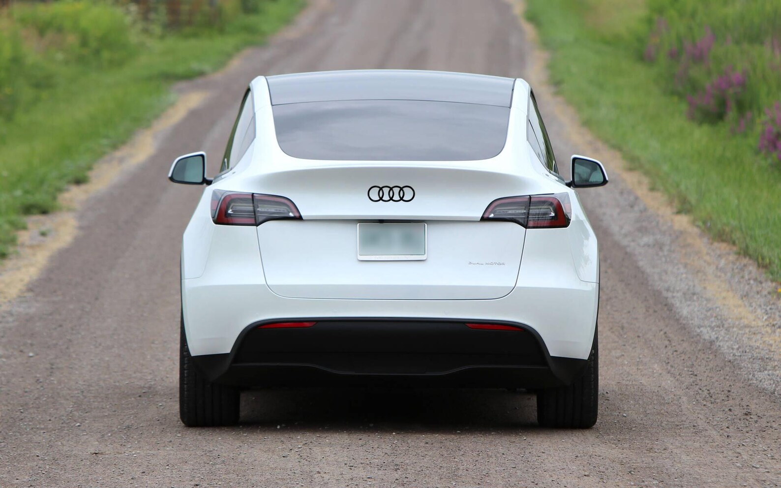 Alternate Logo for Your Tesla, Hide My Tesla, Anti-tesla, Tesla Owner ...