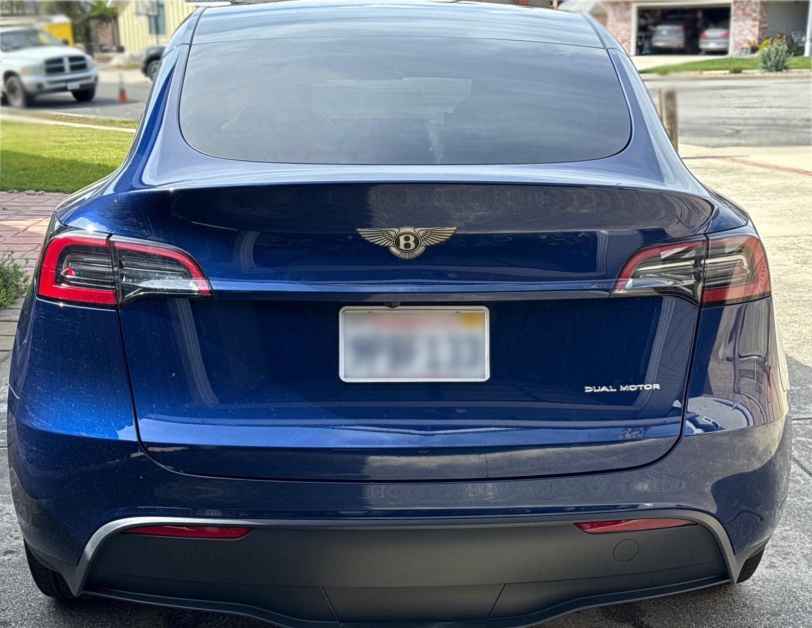 Alternate Logo for Your Tesla, Hide My Tesla, Anti-tesla, Tesla Owner ...