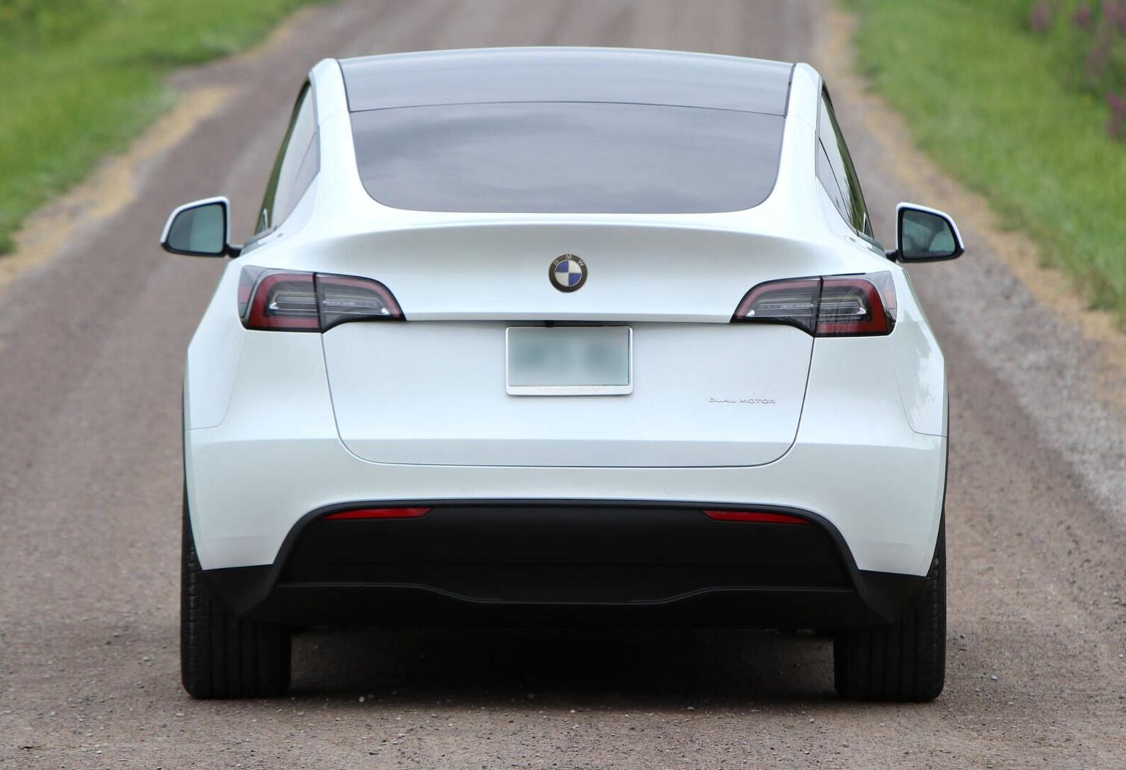 Alternate Logo for Your Tesla, Hide My Tesla, Anti-tesla, Tesla Owner ...