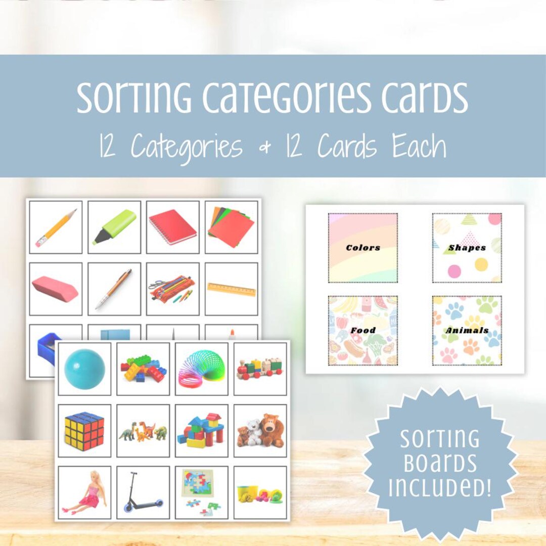Sorting Categories Picture Cards — Real Photos for DTT Programs, ABA ...