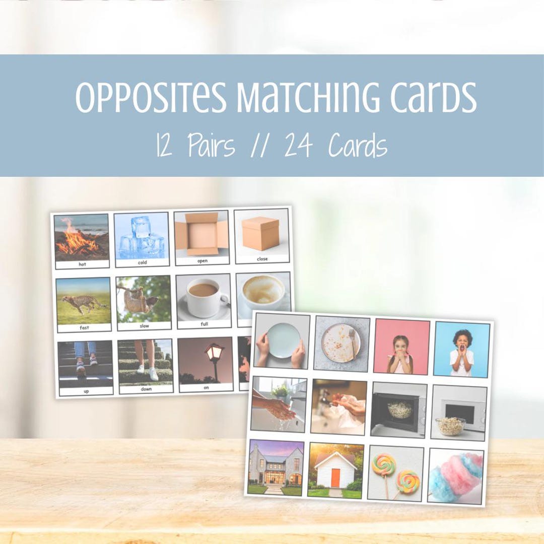 Opposites Matching Picture Cards — Real Photos for DTT Programs, ABA ...