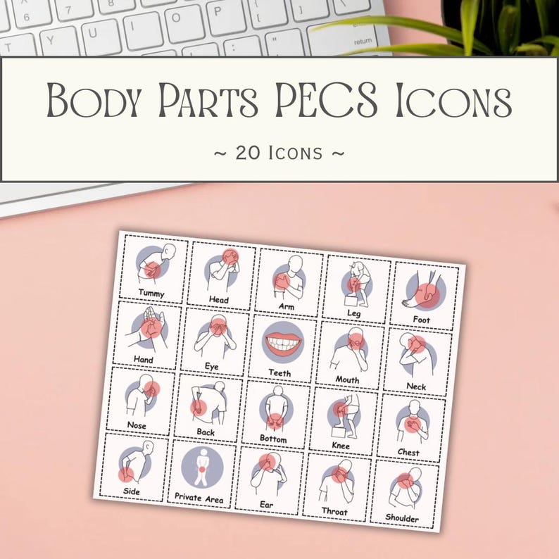 Body Parts PECS Icons | Nonverbal Communication | Communication Board ...