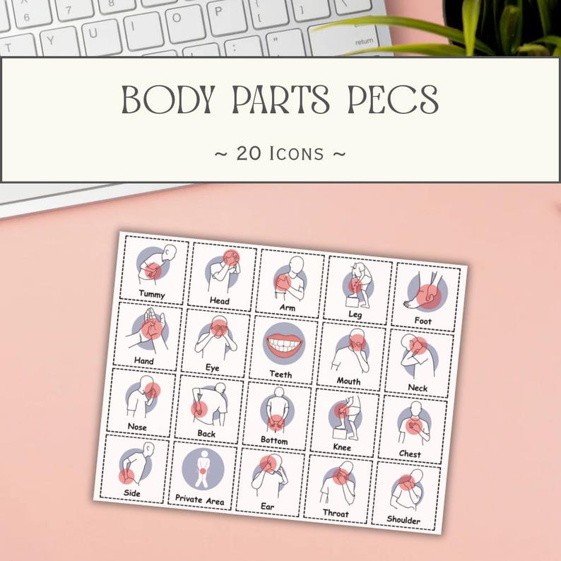 Editable Body Parts PECS Pictures | AAC | Autism Communication ...