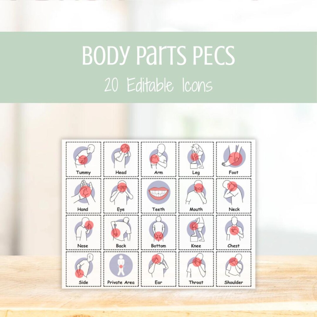 Body Parts PECS Cards — Editable AAC Visuals, Autism Nonverbal ...