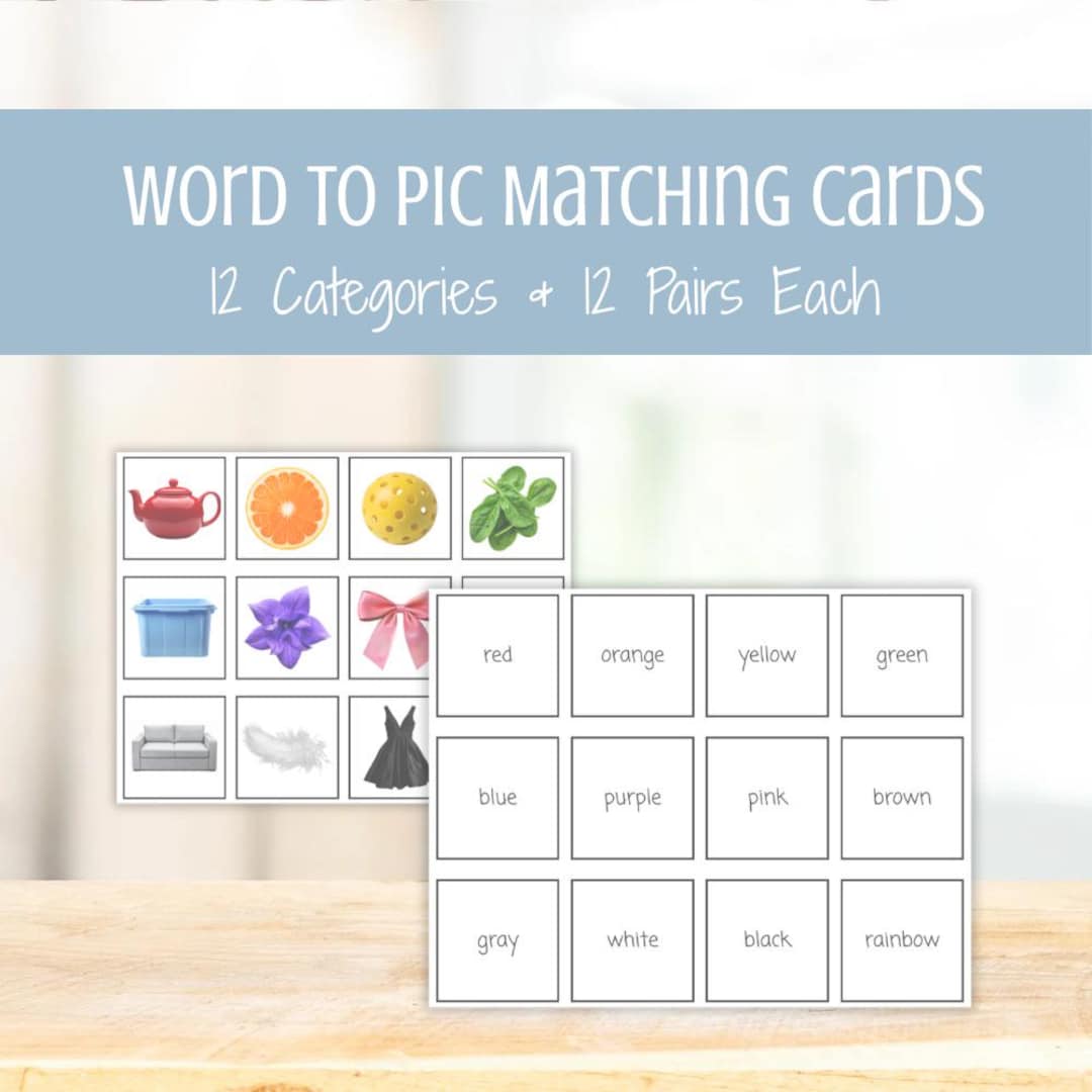 Word to Picture Matching Cards — Real Photos for DTT Programs, ABA ...