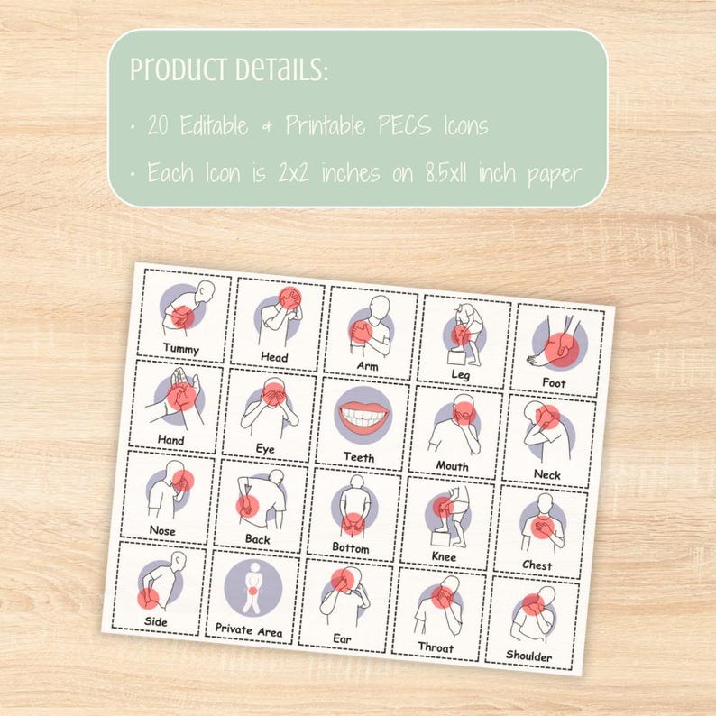 Body Parts PECS Cards — Editable AAC Visuals, Autism Nonverbal ...