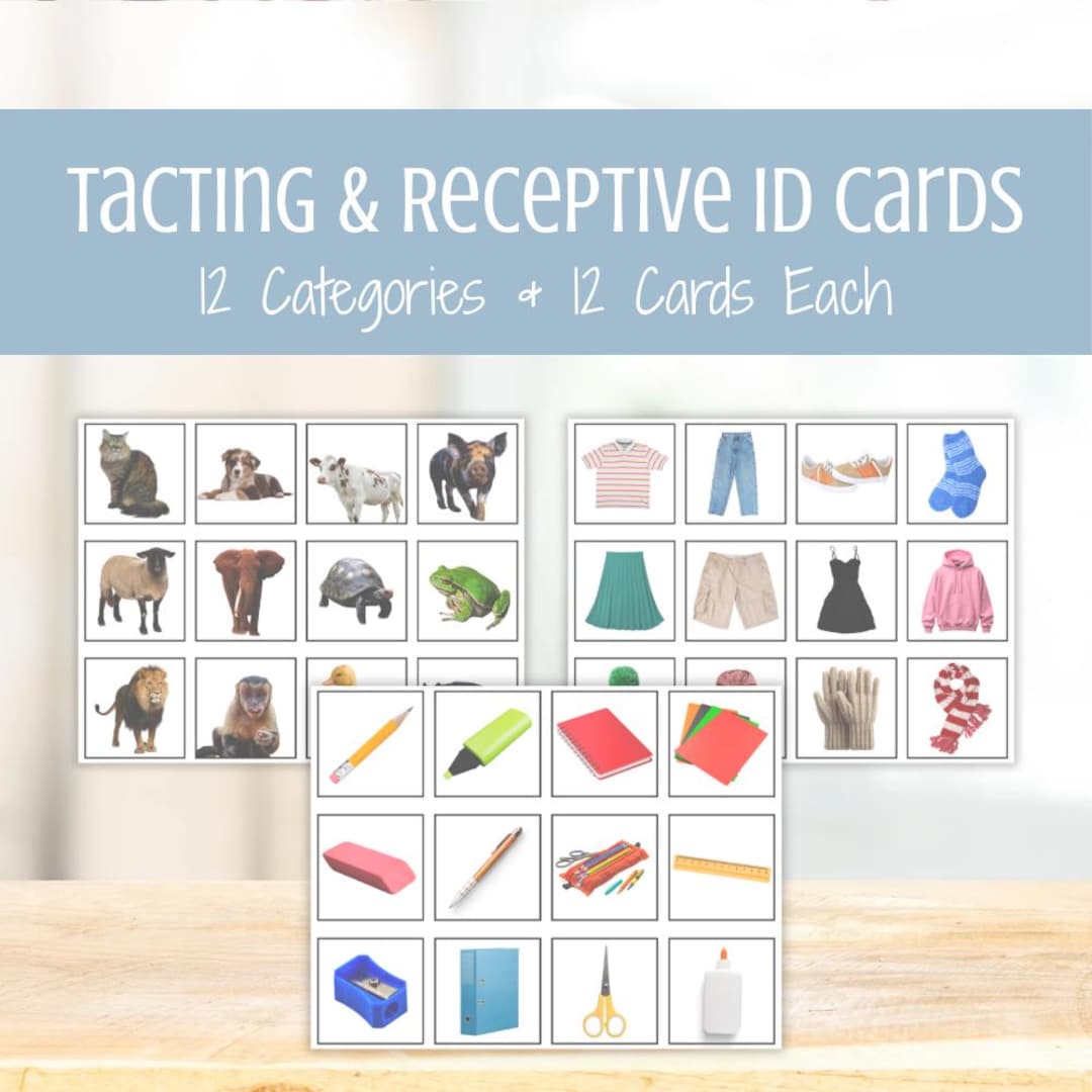 Tacting & Receptive Identification Picture Cards — DTT Programs ...