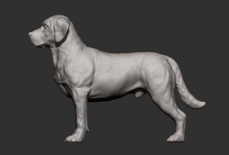 3D Printed Labrador Figurine, Pet Memorial Dog Statue, DIY Paintable ...