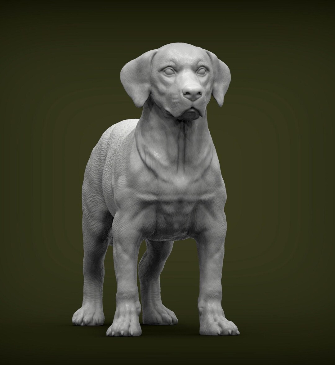 3D Printed Labrador Figurine, Pet Memorial Dog Statue, DIY Paintable ...