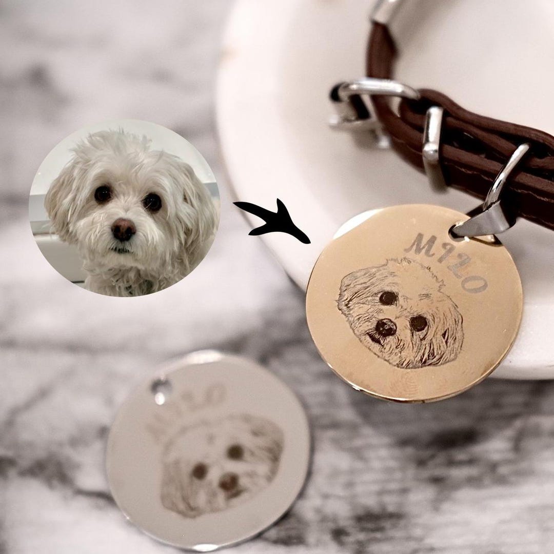 Engraved Custom Actual Pet Portrait Stainless Steel Pet TAG AND ...