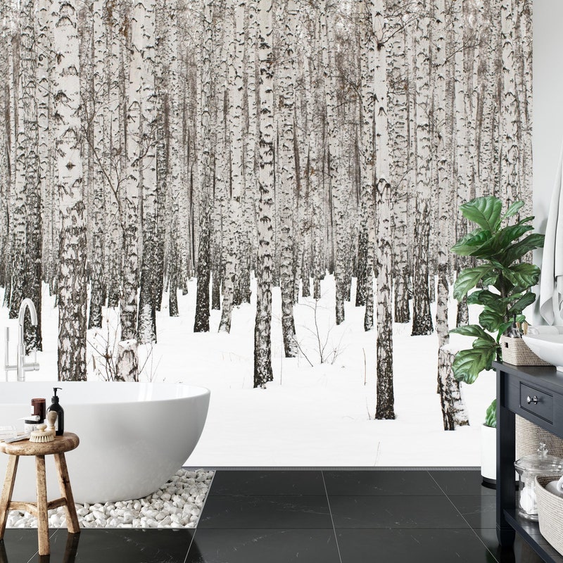 Birch Tree Wall Mural - Etsy
