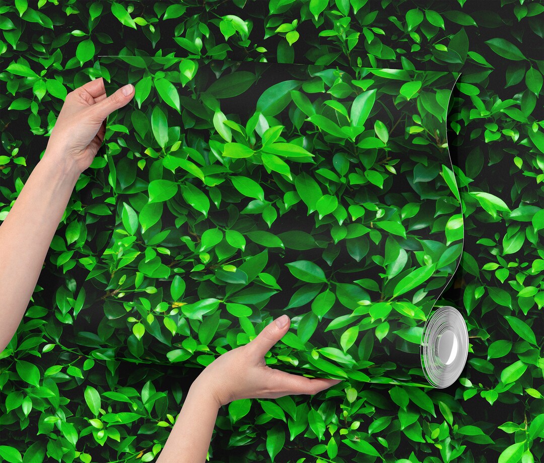 Grass Wallpaper Botanical Peel and Stick Grass Backdrop 3D - Etsy