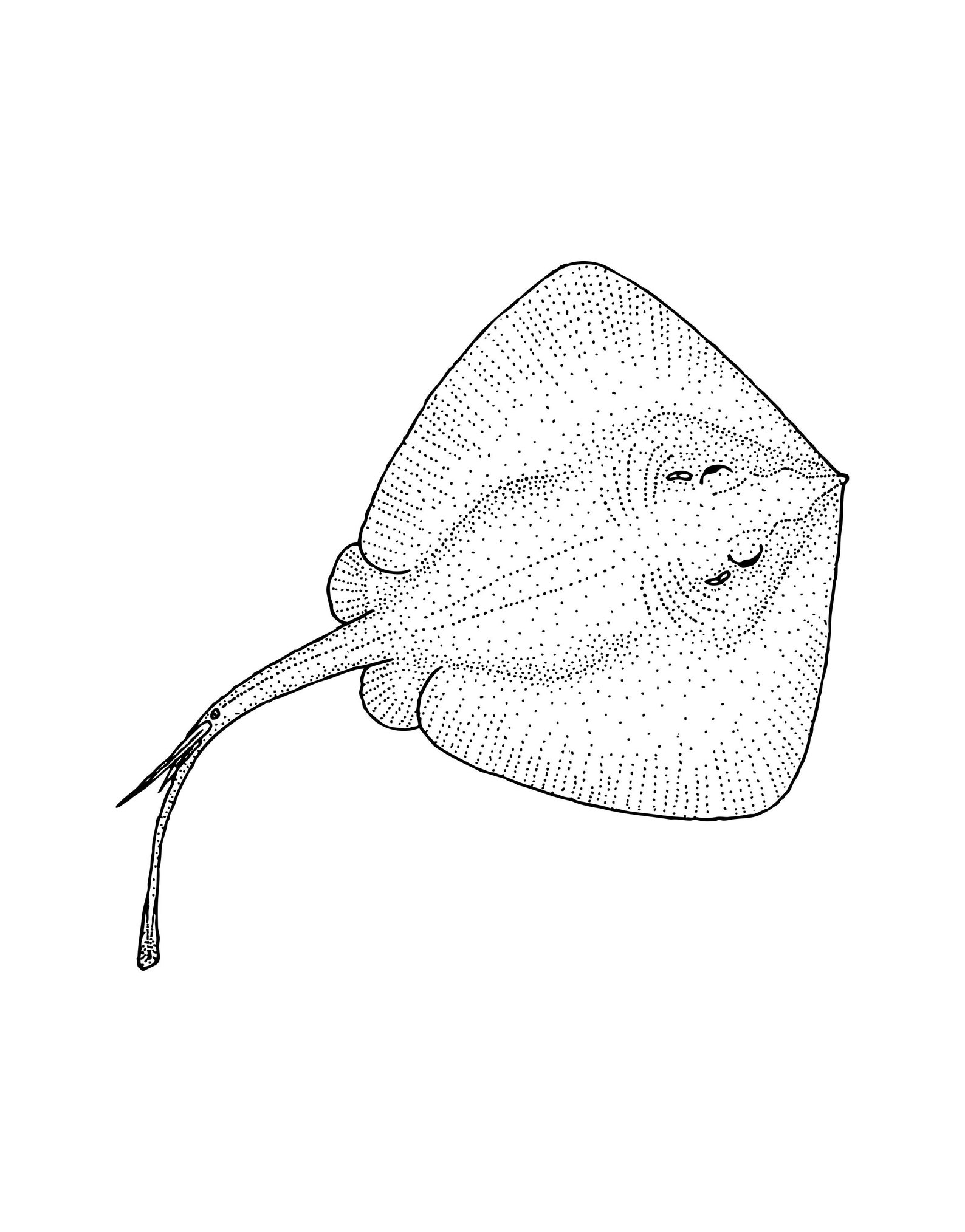 Spotted Stingray Wall Decal Sticker. Kid's Room Decor. Sea - Etsy