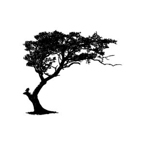 Large Tree Wall Decal Hanging Leaning Tree Sticker Bedroom Tree Decal ...