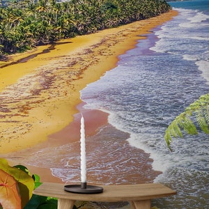 Puerto Rico Beach Wallpaper. Peel and Stick Wall Mural. Puerto Rico ...