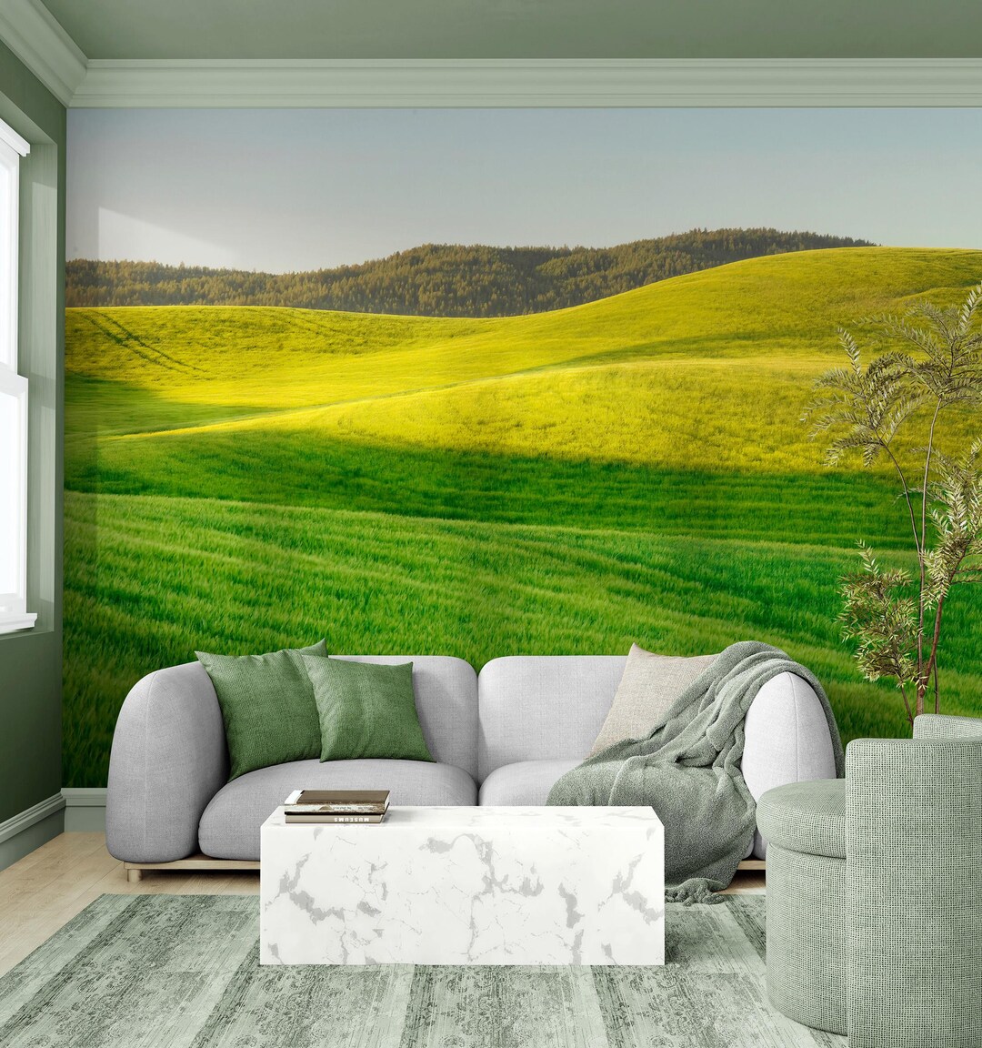 Green Field of Grass Wallpaper Mural - Tranquil Landscape Background ...