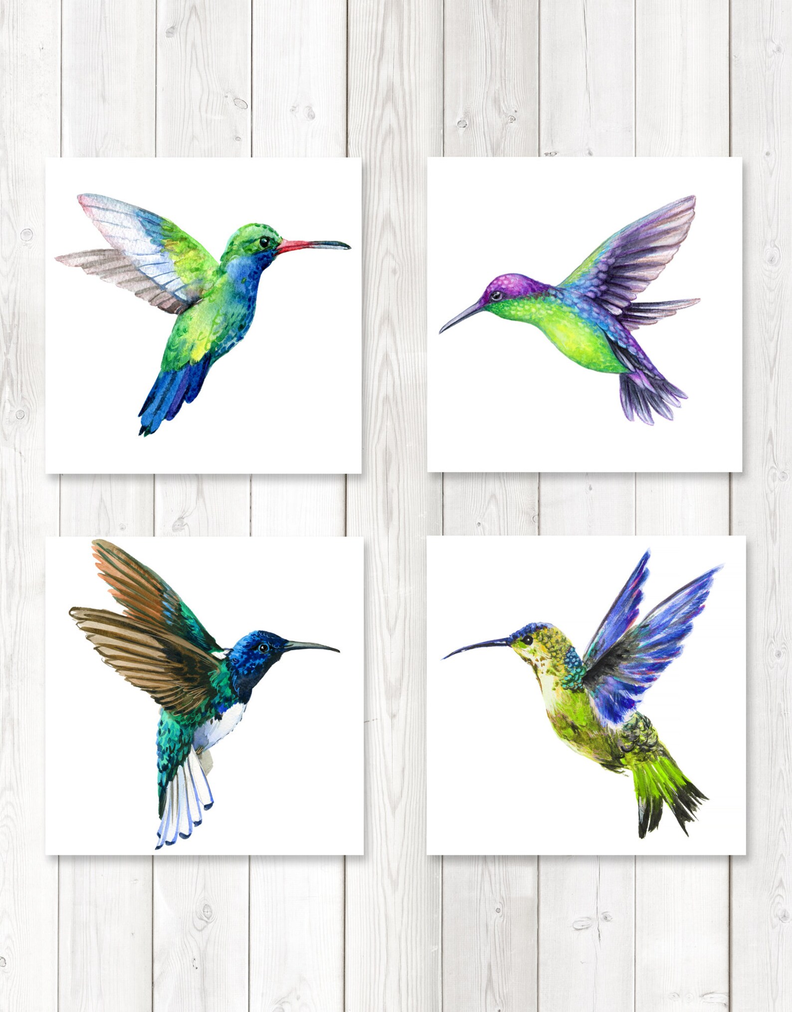Hummingbird Posters set of 4 Unframed. Great Wall Decor for - Etsy