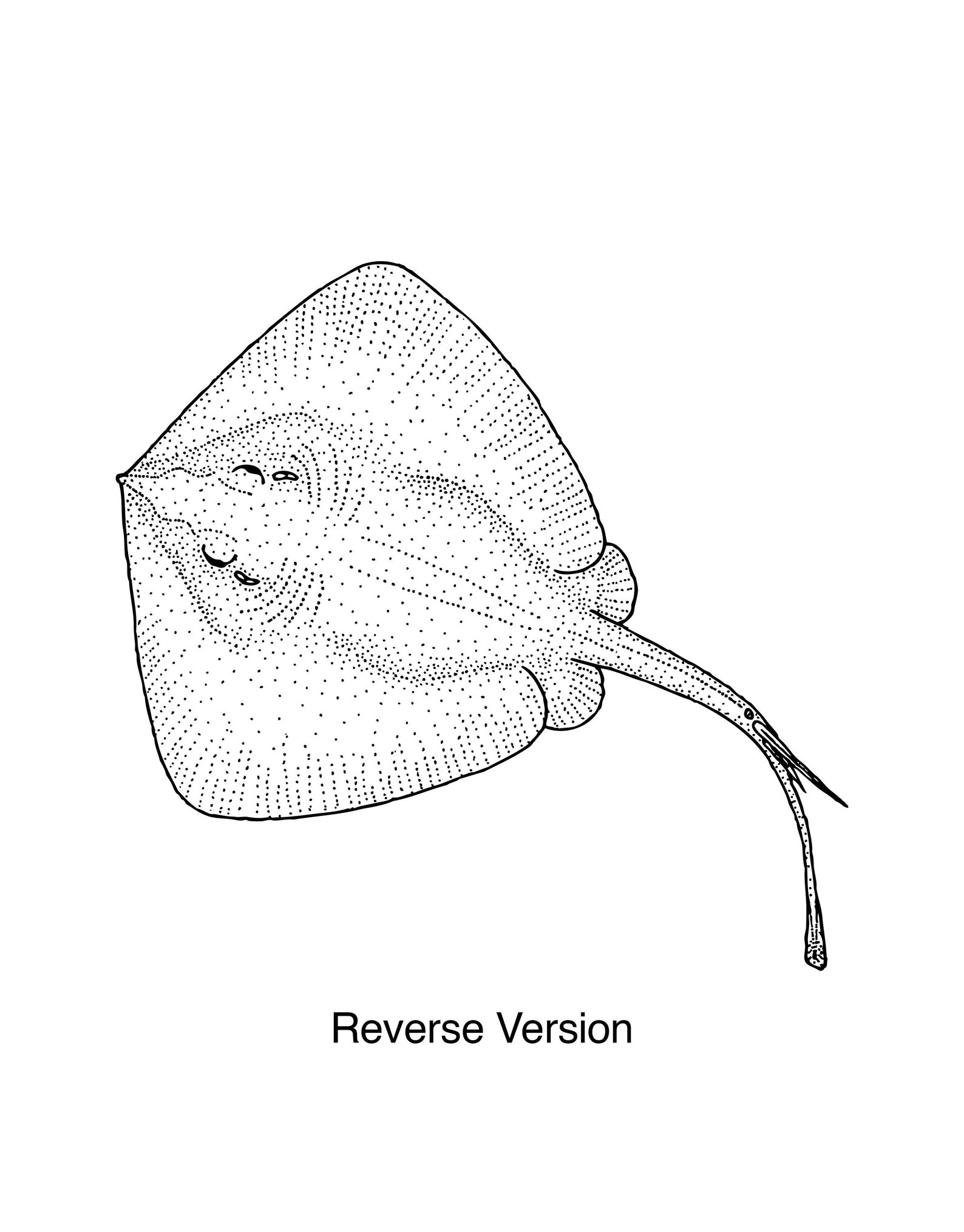 Spotted Stingray Wall Decal Sticker. Kid's Room Decor. Sea - Etsy